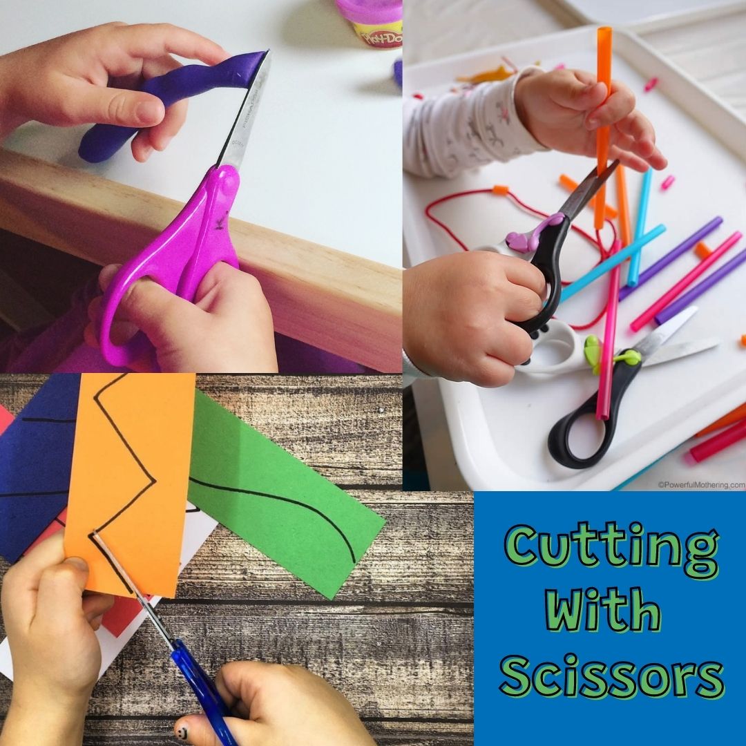 Cutting With Scissors: An Underrated Skill – BEST PRACTICES
